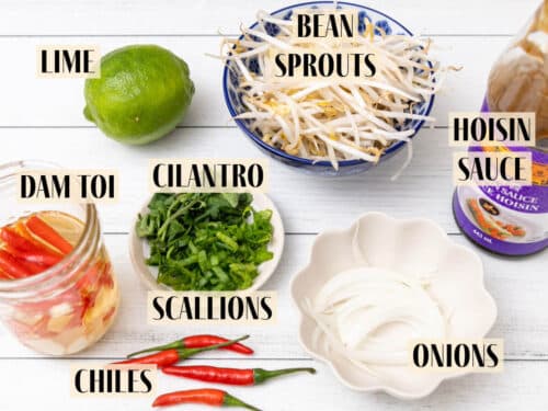 Instant Pot Chicken Pho (Phở Gà) - Garlic All Day